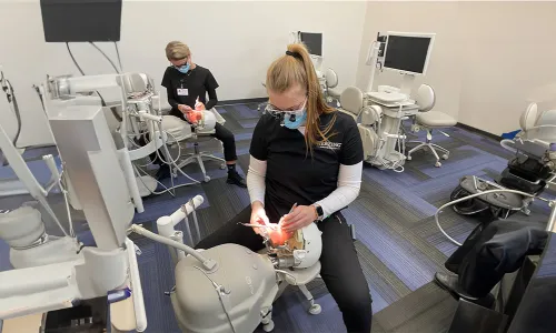 Dental Hygiene Programs - Minneapolis, MN