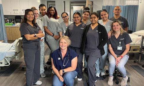 MSN Direct Entry Program - Online or Hybrid Format