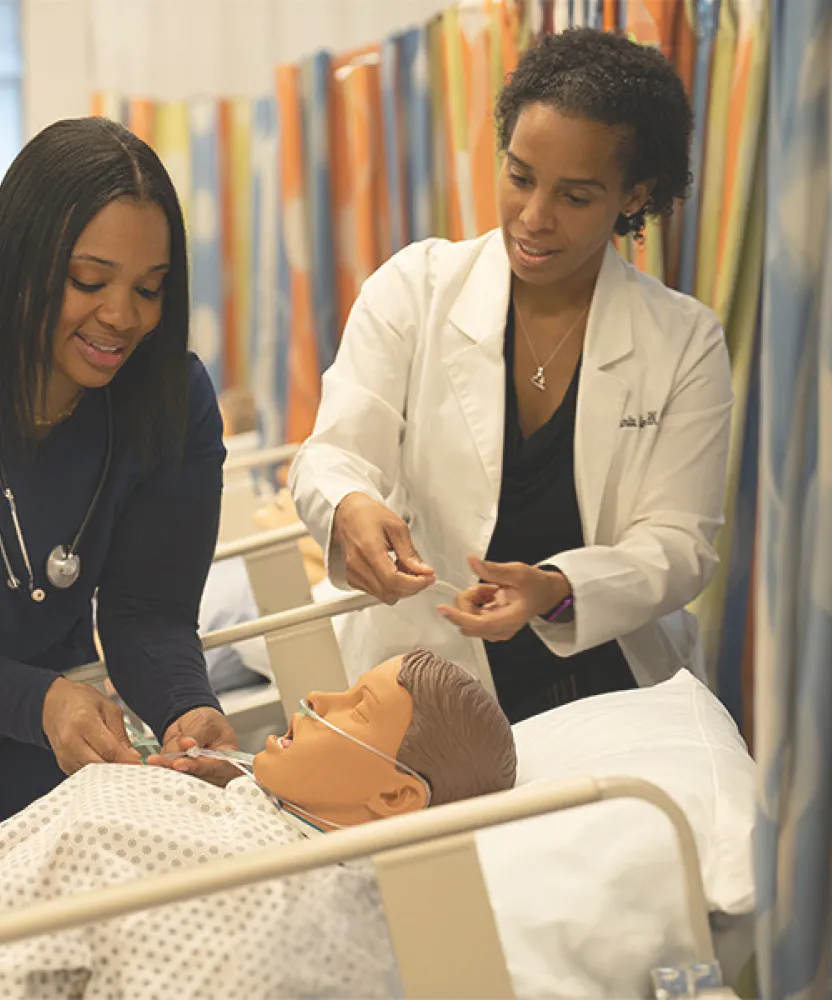 MSN in Public Health Nursing Program (BSN to MSN)